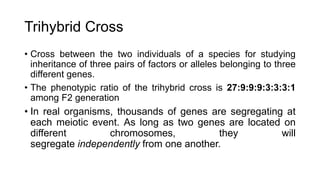 trihybrid cross , test cross chi squares | PPTX