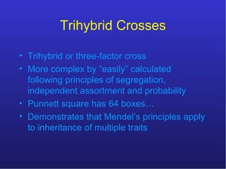 Trihybrid crosses | PPT