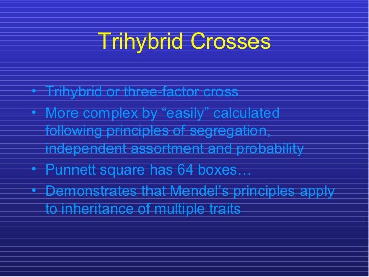 Trihybrid crosses