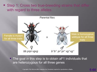 Trihybridhelper | PPT