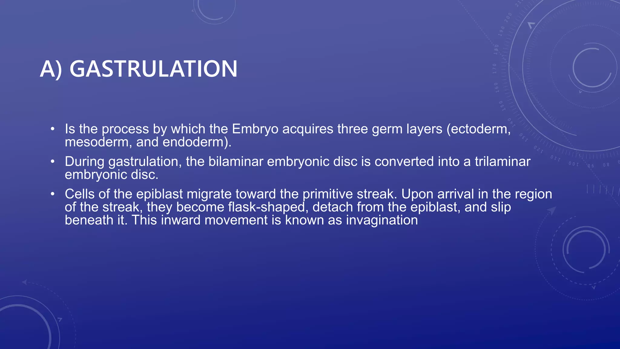 Trilaminar germ disc (week 3 embryology) | PPTX