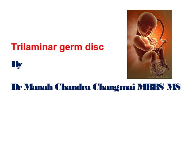Trilaminar germ disc | PPT
