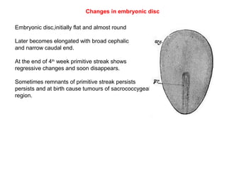 Trilaminar germ disc | PPT