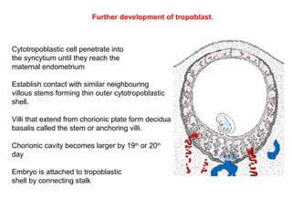 Trilaminar germ disc | PPT