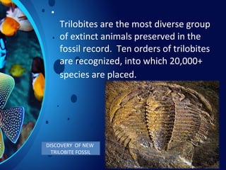 Trilobite Introductiion | PPT
