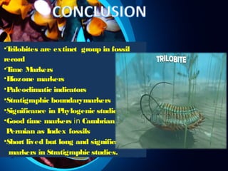 Trilobite Introductiion | PPT