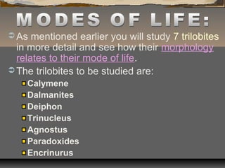 Trilobites BY YU, WELFREDO L. | PPT