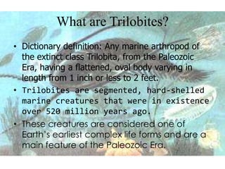 Trilobites 101 | PPTX