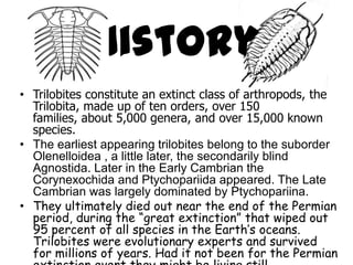 Trilobites 101 | PPTX