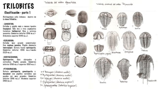 FOSILES GUIA PARA HACER CORTES GEOLOGICOS | PDF