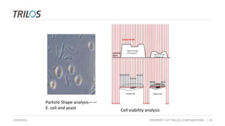 Trilos In-situ Particle Sizer | PPT