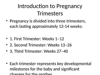 Trimesters_of_Pregnancy_Presentation.pptx