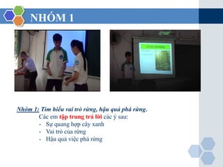 PPDH WebQuest | PPTX