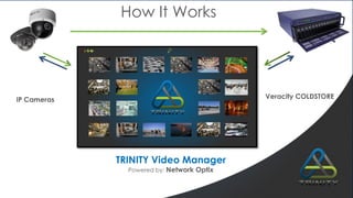 Trinity Presentation | PDF