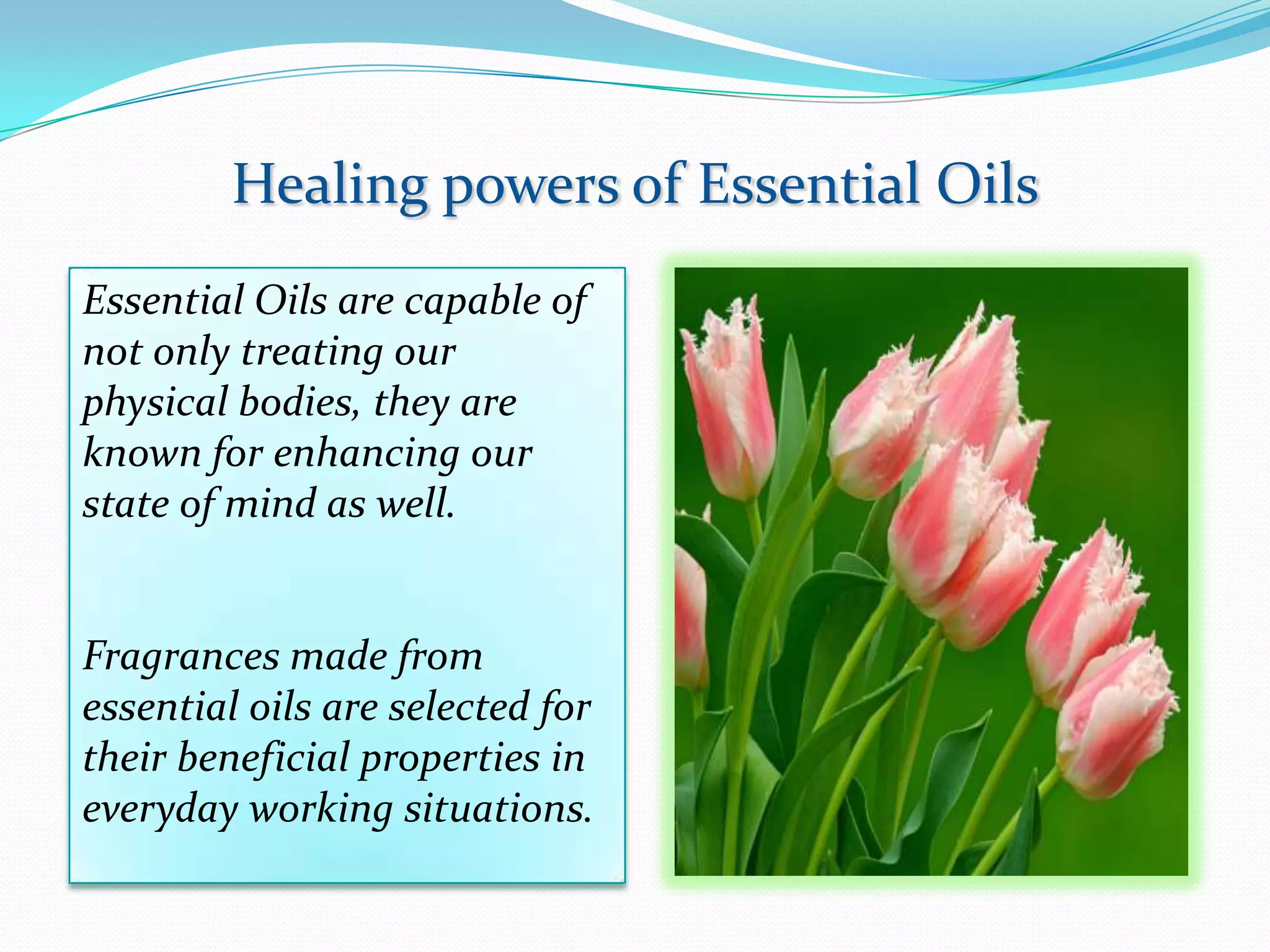 Trinnity 1 presentation | PPT