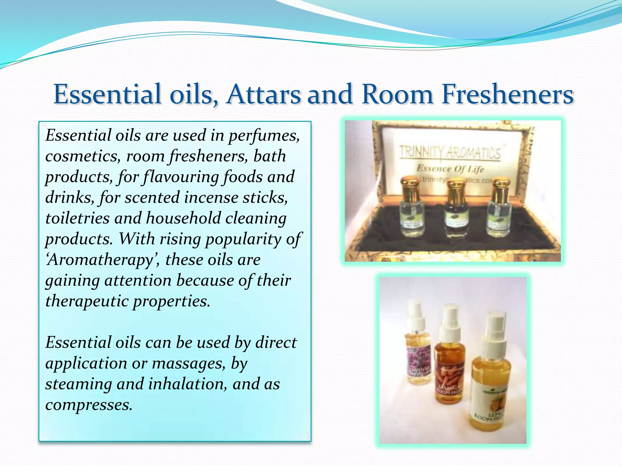 Trinnity 1 presentation | PPT