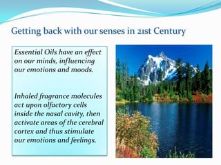 Trinnity 1 presentation | PPT