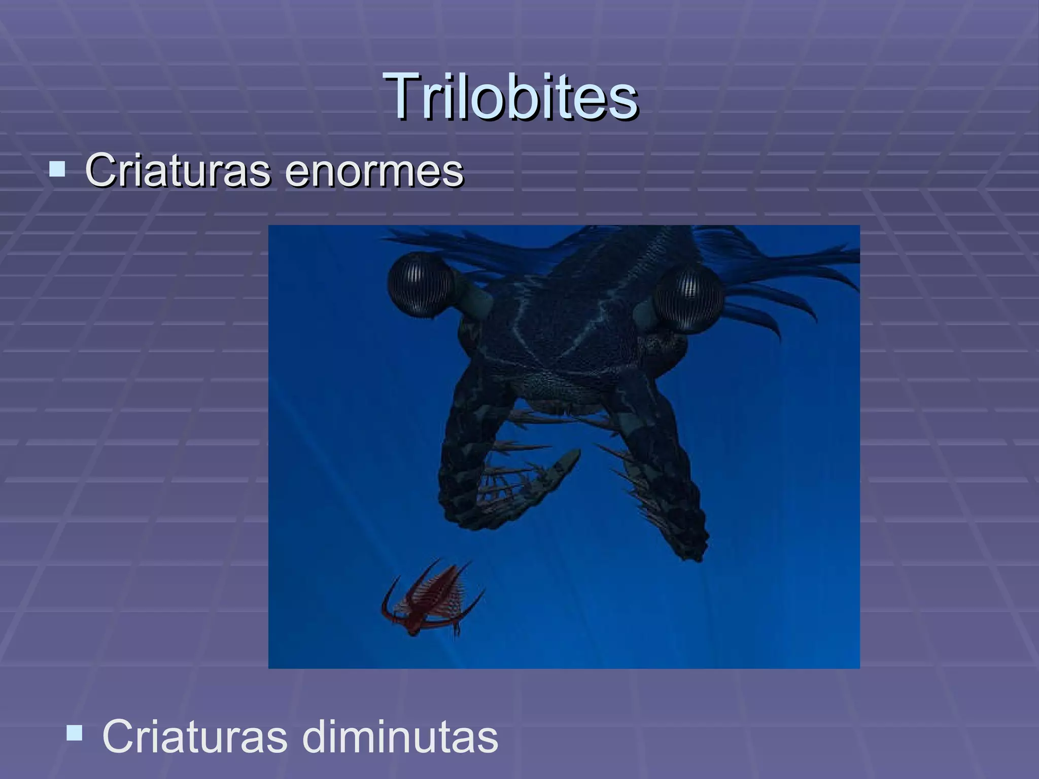 trilobites | PPT