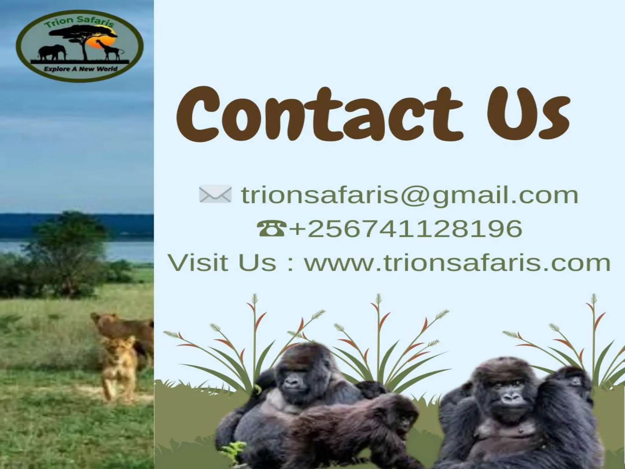 Plan Your Next Adventure with Trion Safaris | PPTX