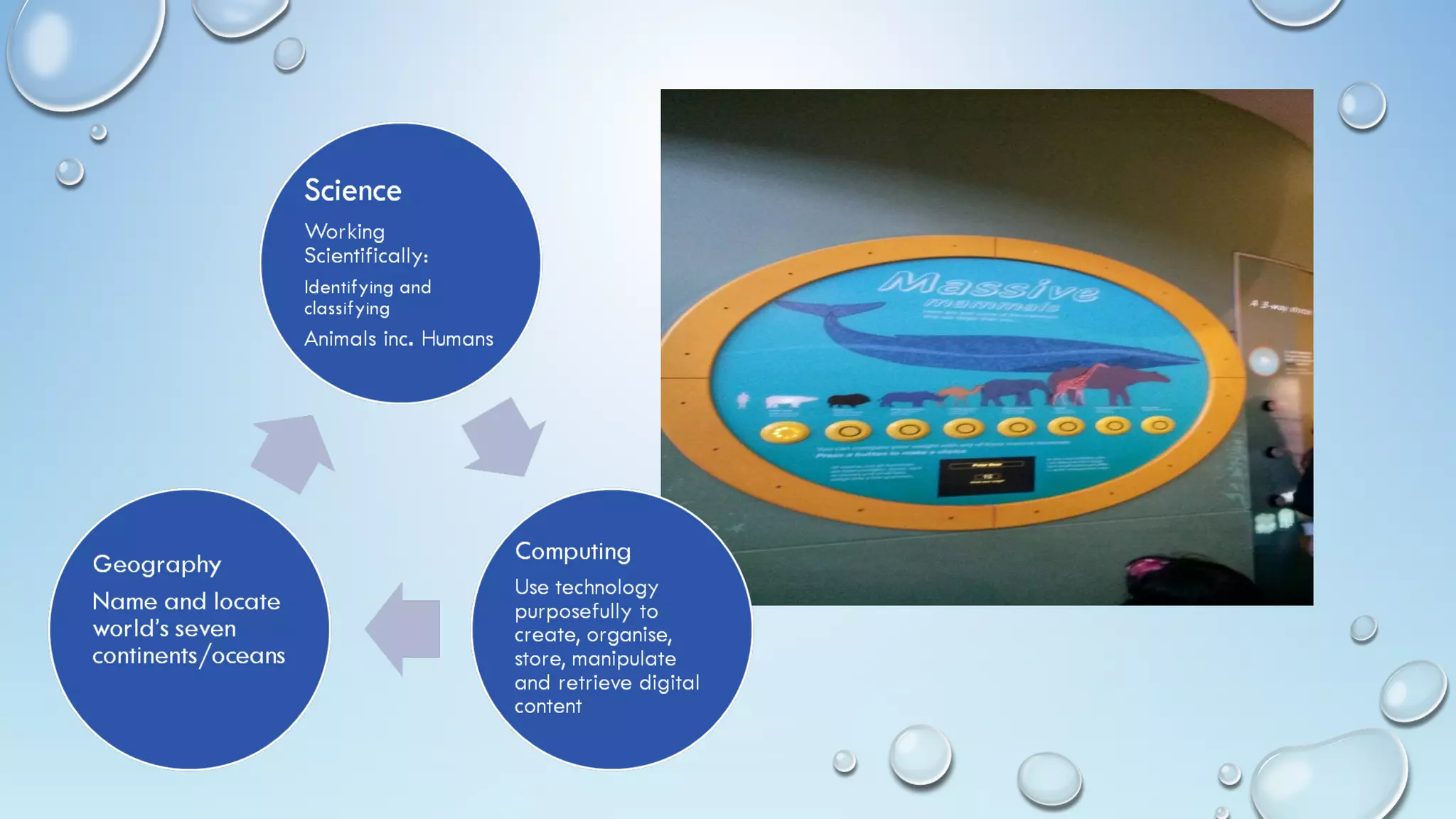 LOTC Natural History Museum Visit | PPT | Zoos & Aquariums | Attractions