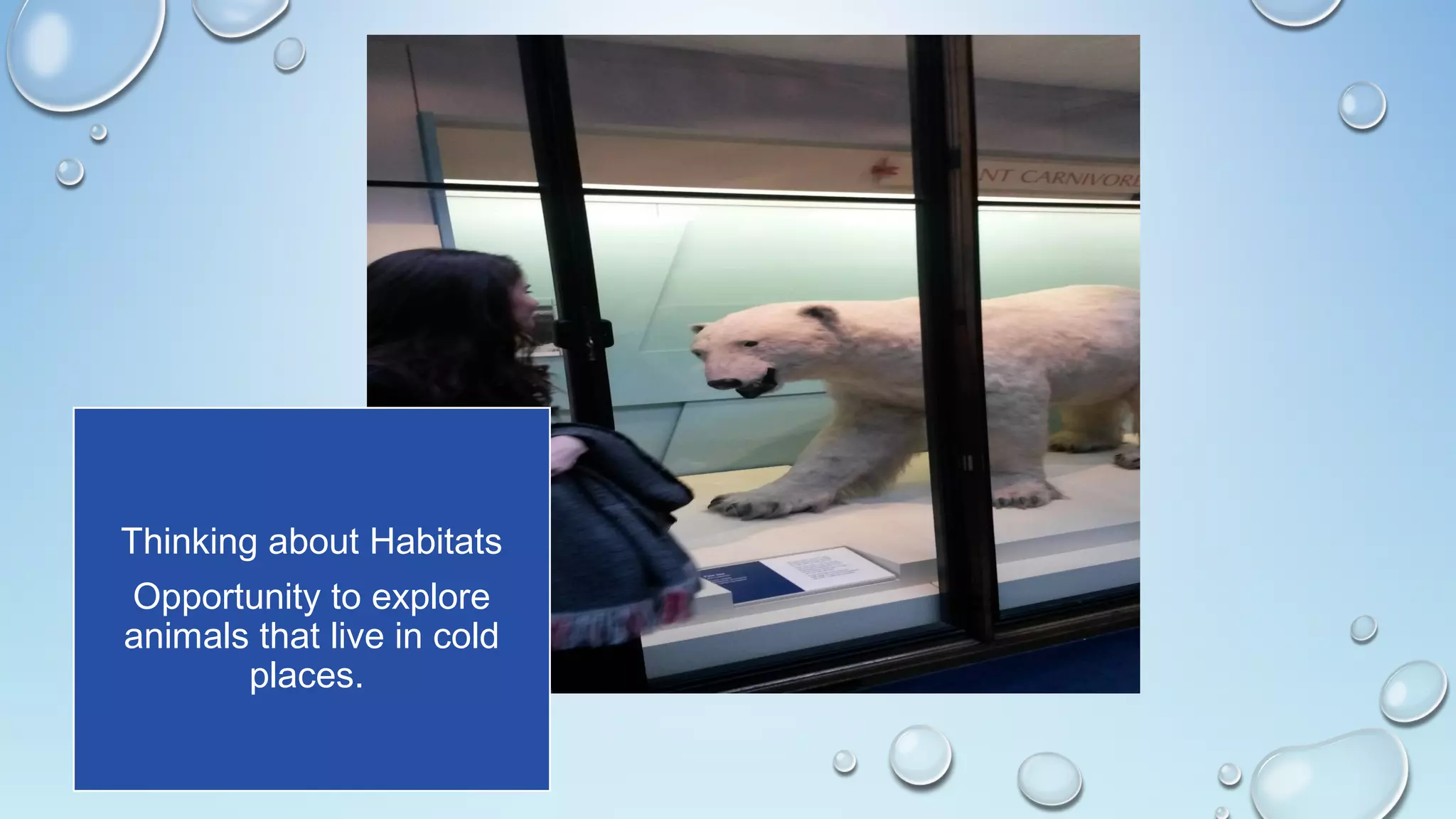 LOTC Natural History Museum Visit | PPT | Zoos & Aquariums | Attractions