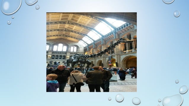 LOTC Natural History Museum Visit | PPT | Zoos & Aquariums | Attractions