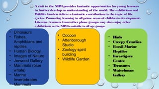 LOTC Natural History Museum Visit | PPT | Zoos & Aquariums | Attractions