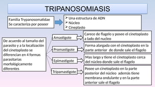 La TRIPANOSOMIASIS y lo que implica.pptx