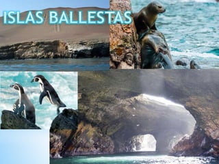 Trip around peru | PPTX