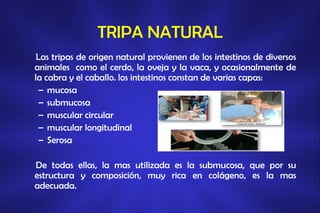 Tripas para embutidos exposicion original | PPTX