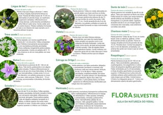 TRIP_flora_V4.pdf