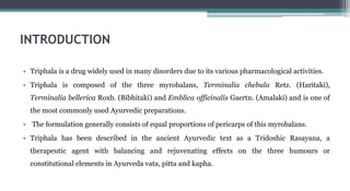 Triphala | PPTX