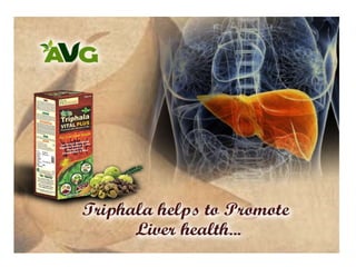 Triphala Vital Plus :- Healtheveryday | PPTX