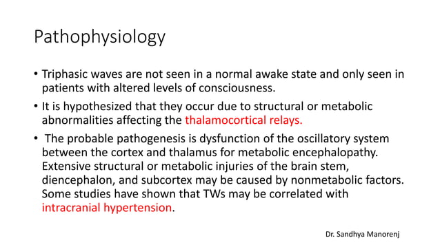 Triphasic waves in EEG | PPTX | Thyroid Disorders | Endocrine and ...