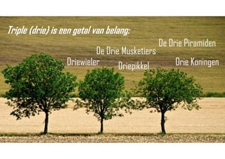 Triple Tree Event Agency | PPT