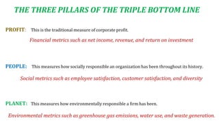 Triple bottom line.pptx