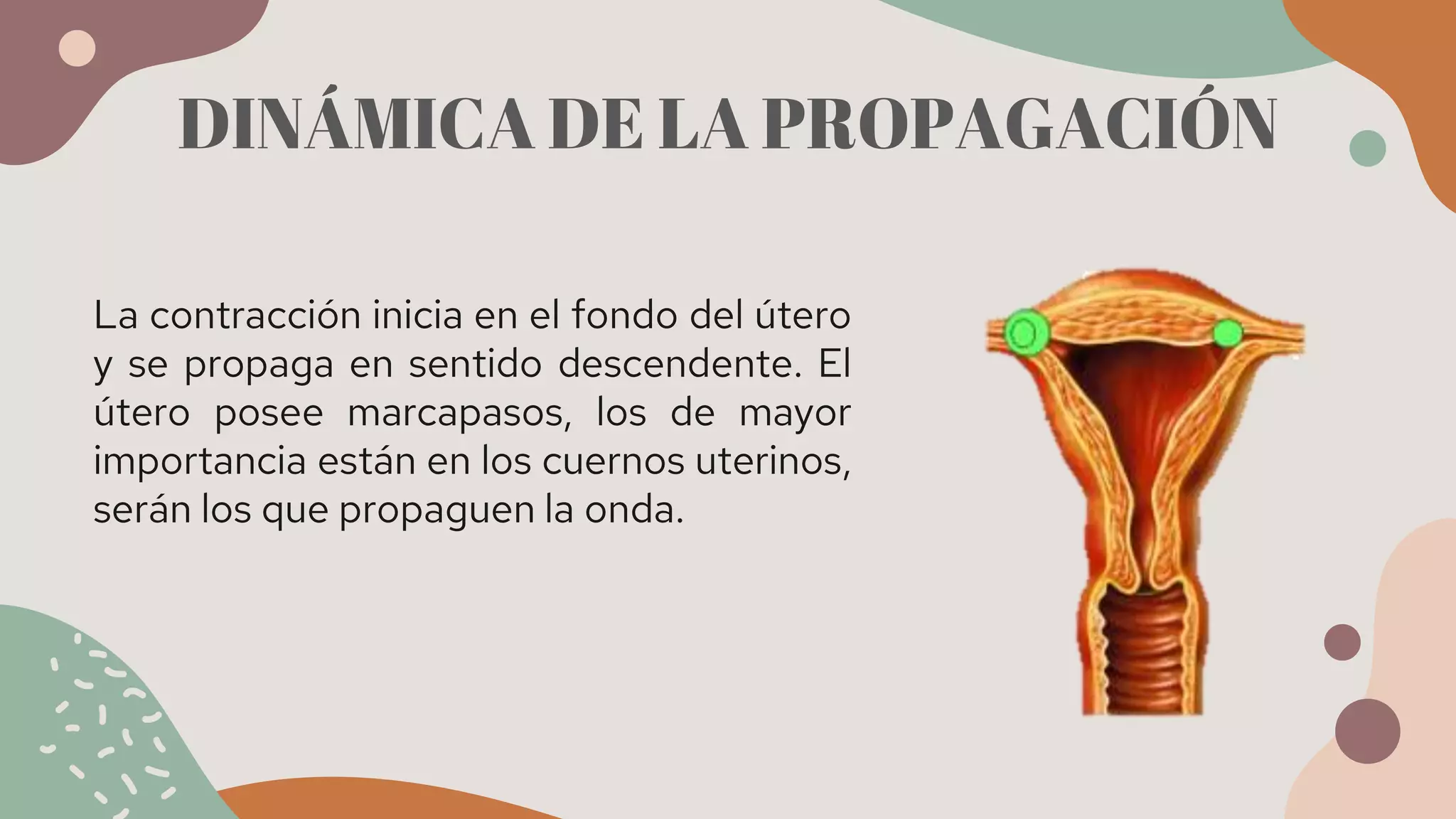 Triple Gradiente Descedente | PPTX | Pregnancy | Reproductive Health