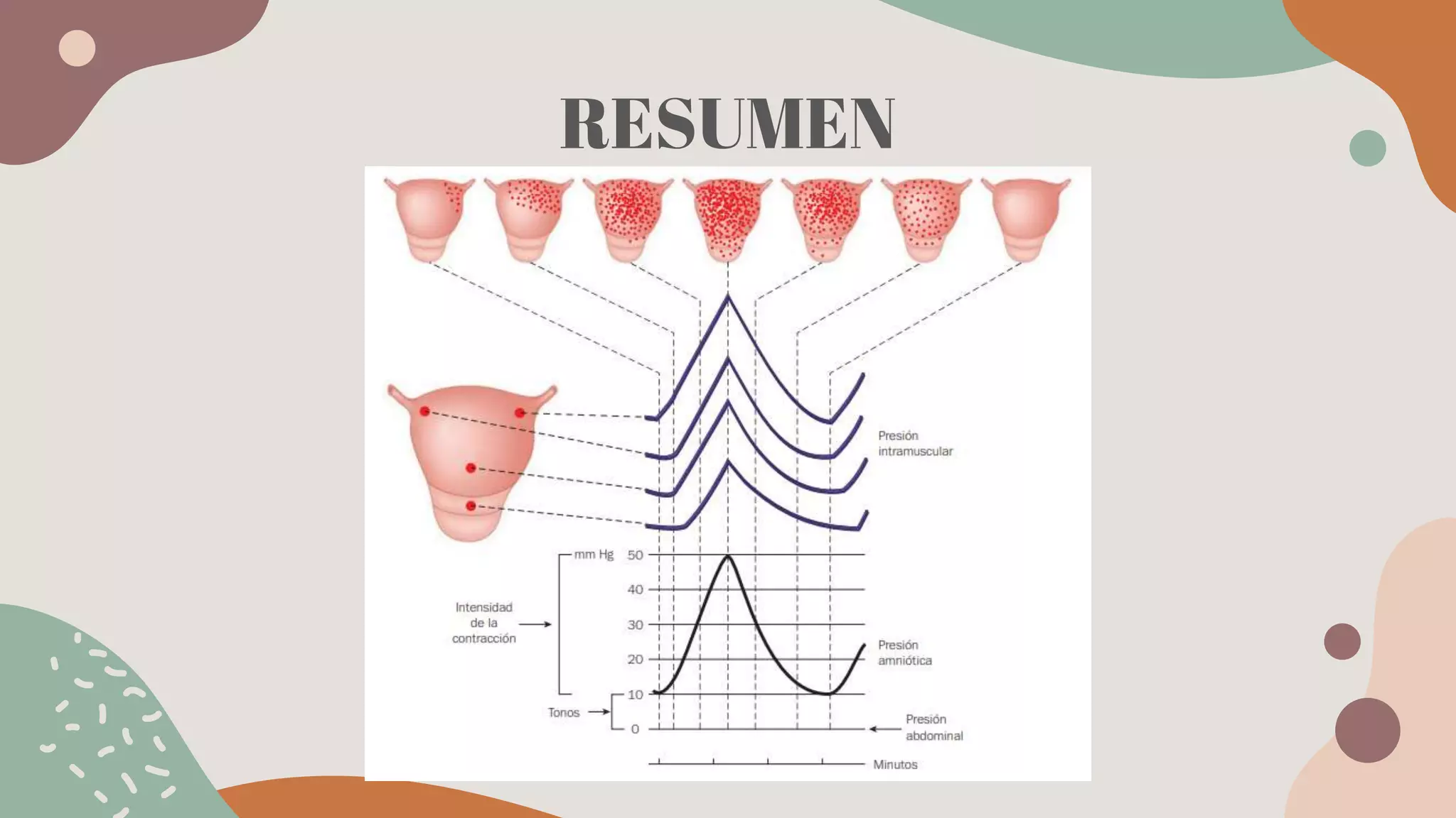 Triple Gradiente Descedente | PPTX