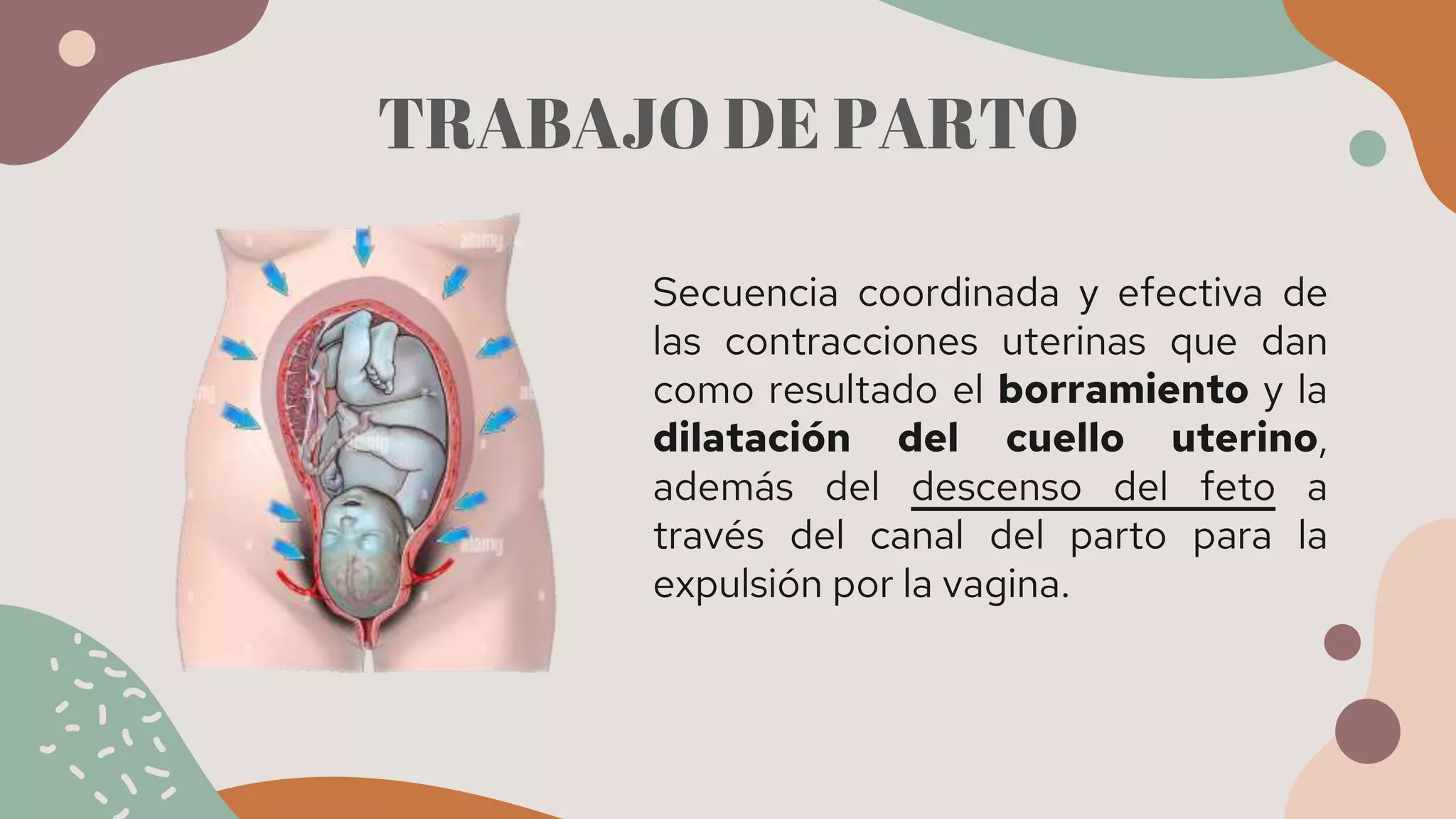 Triple Gradiente Descedente | PPTX