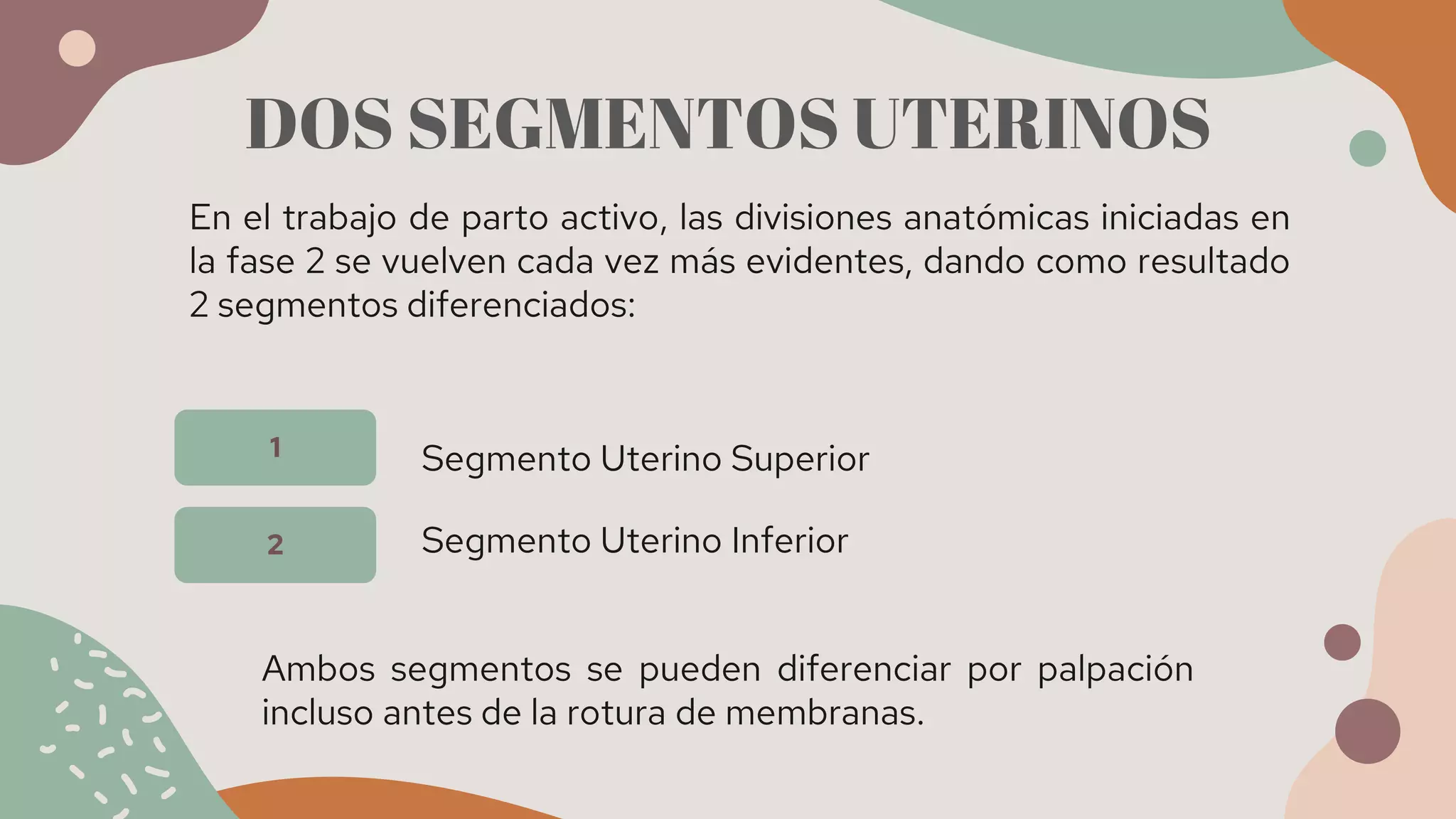 Triple Gradiente Descedente | PPTX