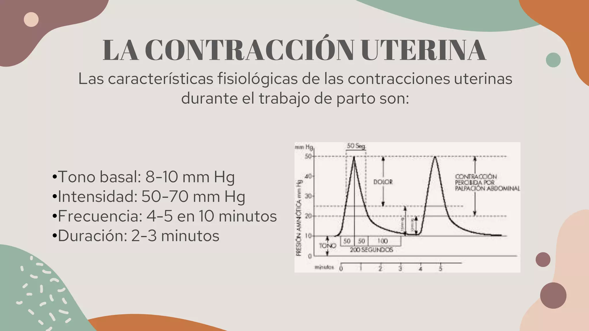 Triple Gradiente Descedente | PPTX