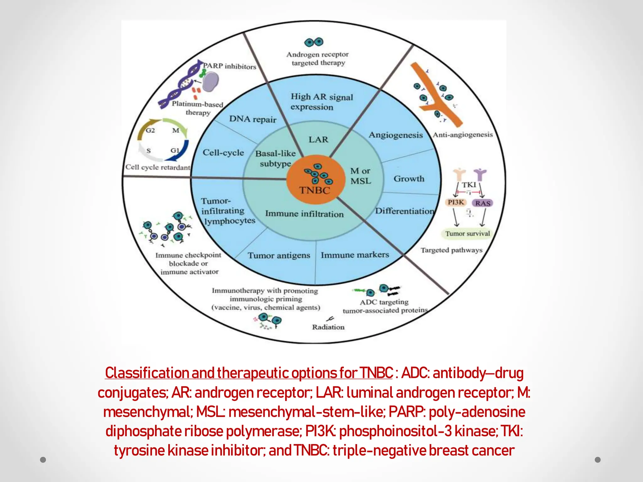 Triple Negative Breast Cancer (TNBC).pptx | Cancer | Diseases and ...
