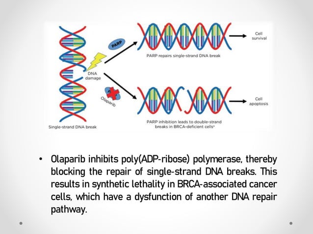 Triple Negative Breast Cancer (TNBC).pptx | Cancer | Diseases and ...