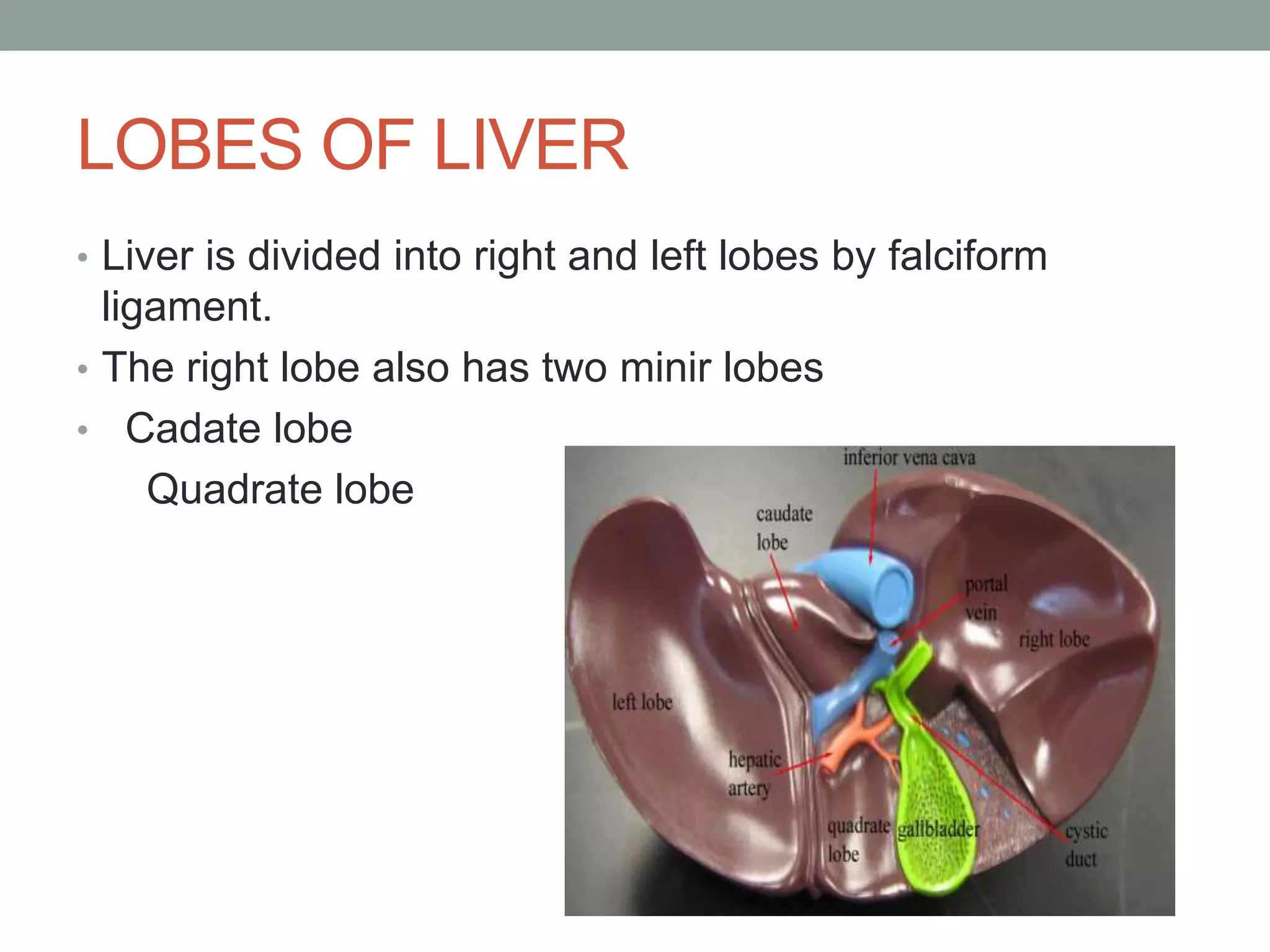 TRIPLE PHASE CT AND ITS TECHNIQUE BY VANI PUSHPA (2).pptx