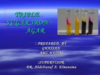 Triple sugar iron_agar | PPT