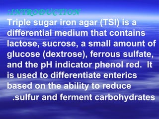 Triple sugar iron_agar | PPT