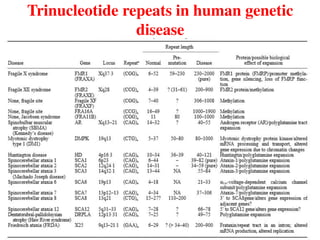 Triplet repeat disorders- chromosome.pdf