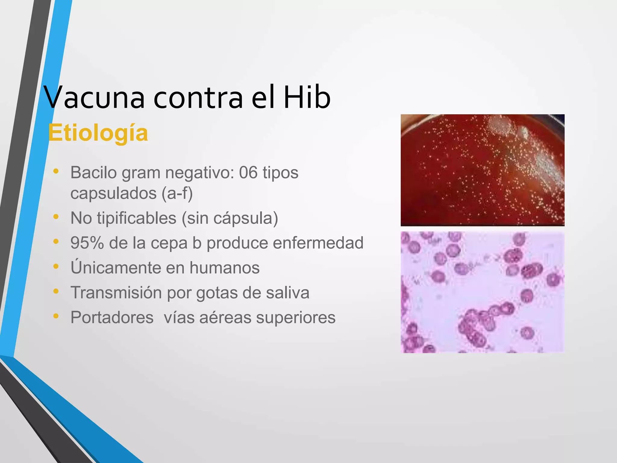 TRIPLE VIRAL.pptx