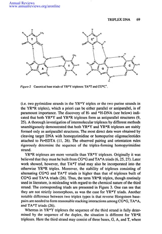 Triplex dna 1 | PDF