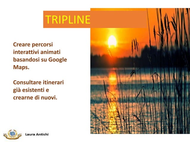 Tripline img | PPT